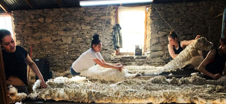 Shearing Magazine - November 2020 - New Zealand Shearing Contractors ...